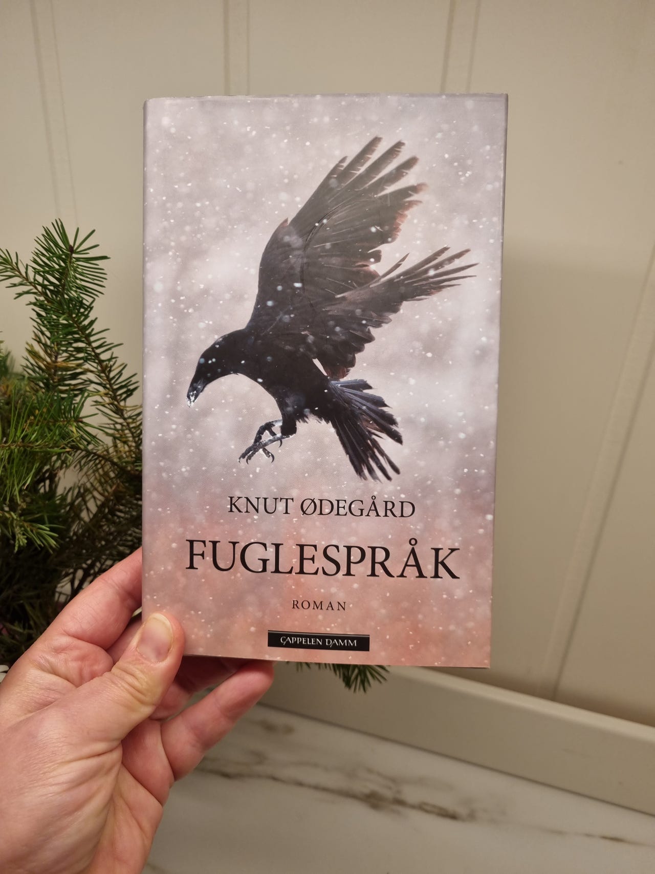 Fuglespråk - Claus Hoel Kringsjås historie Av Knut Ødegård. | FINN-torget