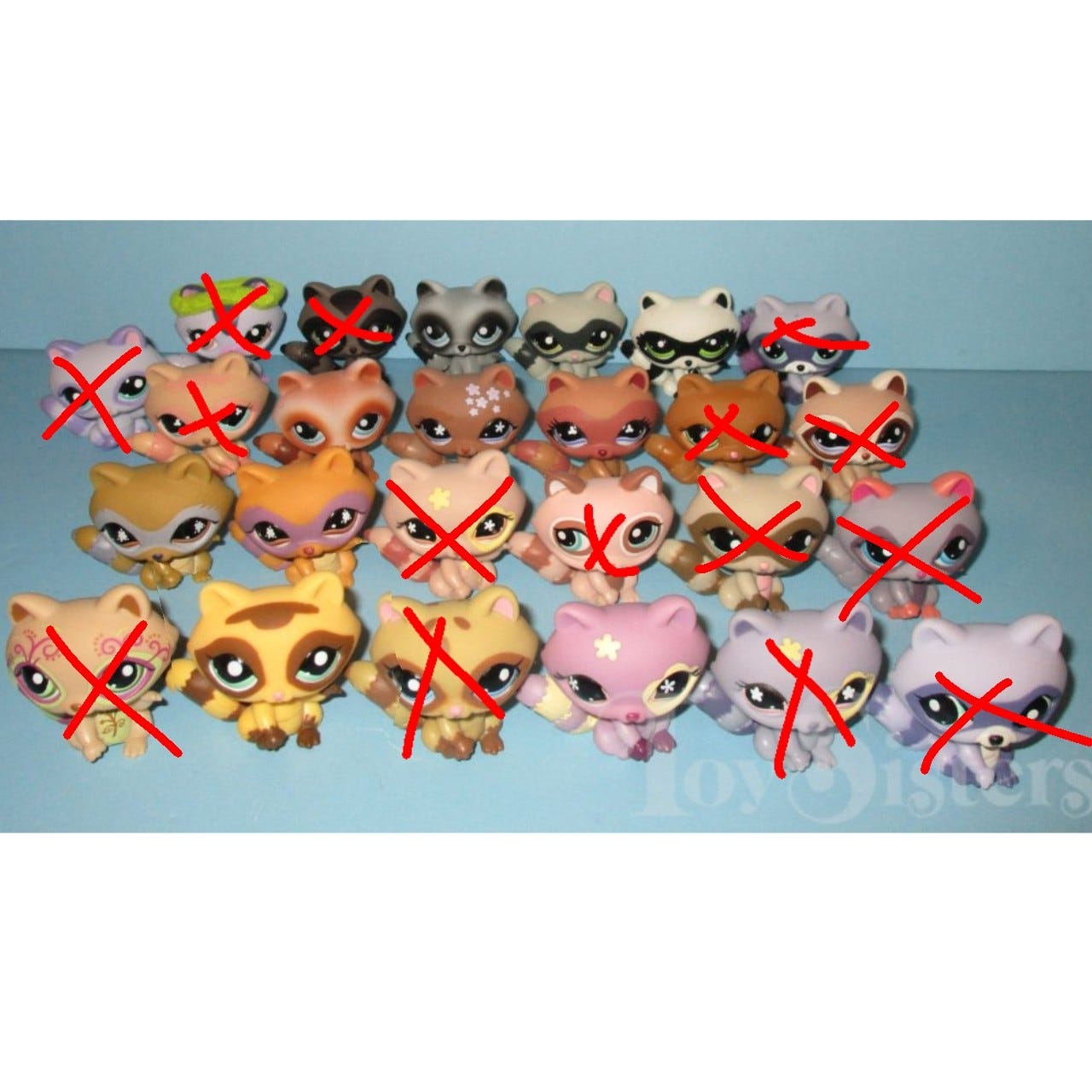 Vaskebjørn lps | FINN-torget