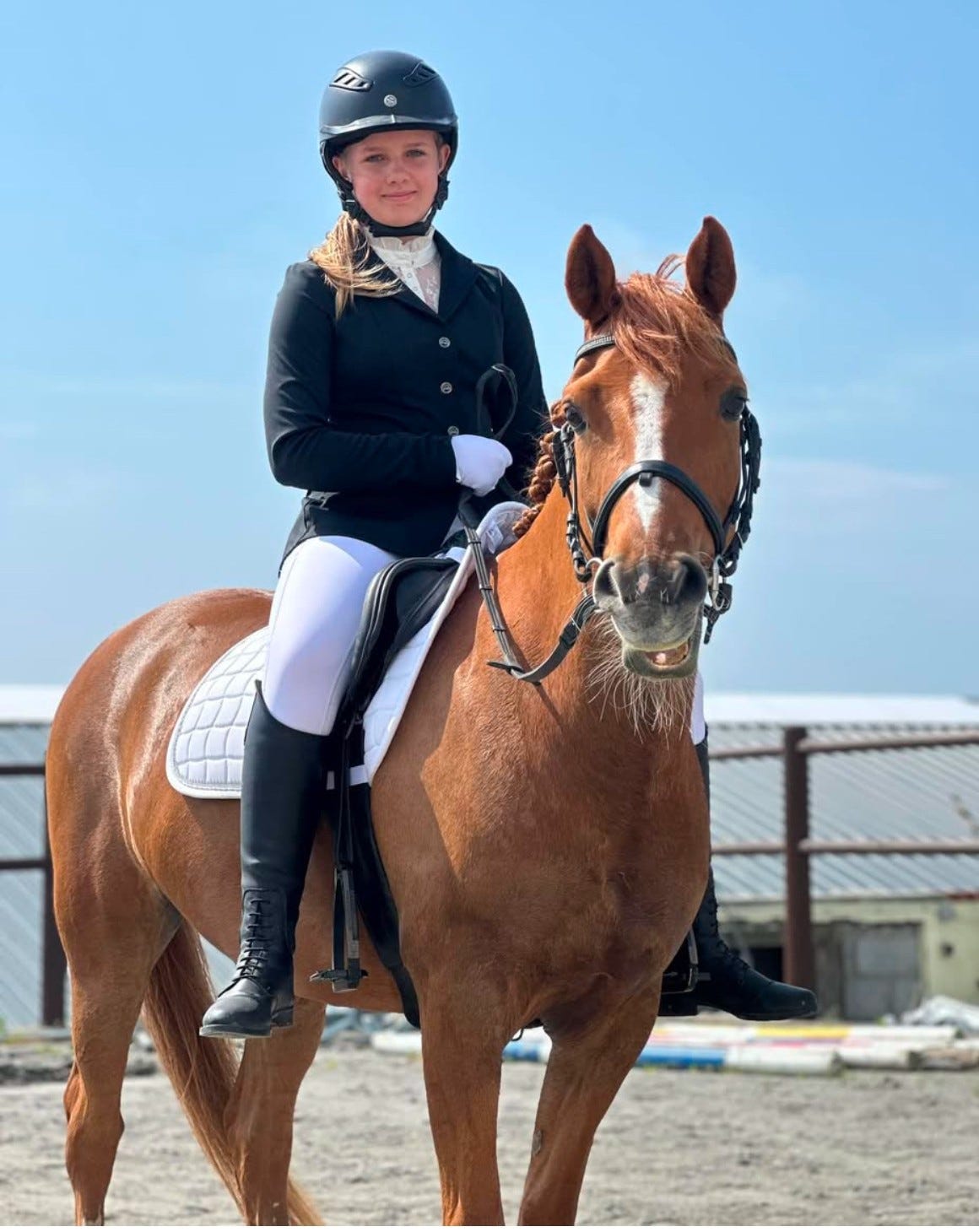 Nydelig kat 2 ponni vurderes solgt | FINN-torget