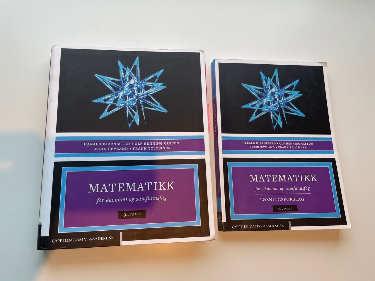 Matematikk for økonomi og samfunnsfag + løsningsforslag | FINN-torget