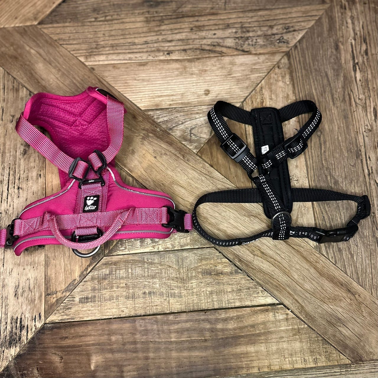 Hundeseler selges, brukt til staffe-valp. | FINN-torget