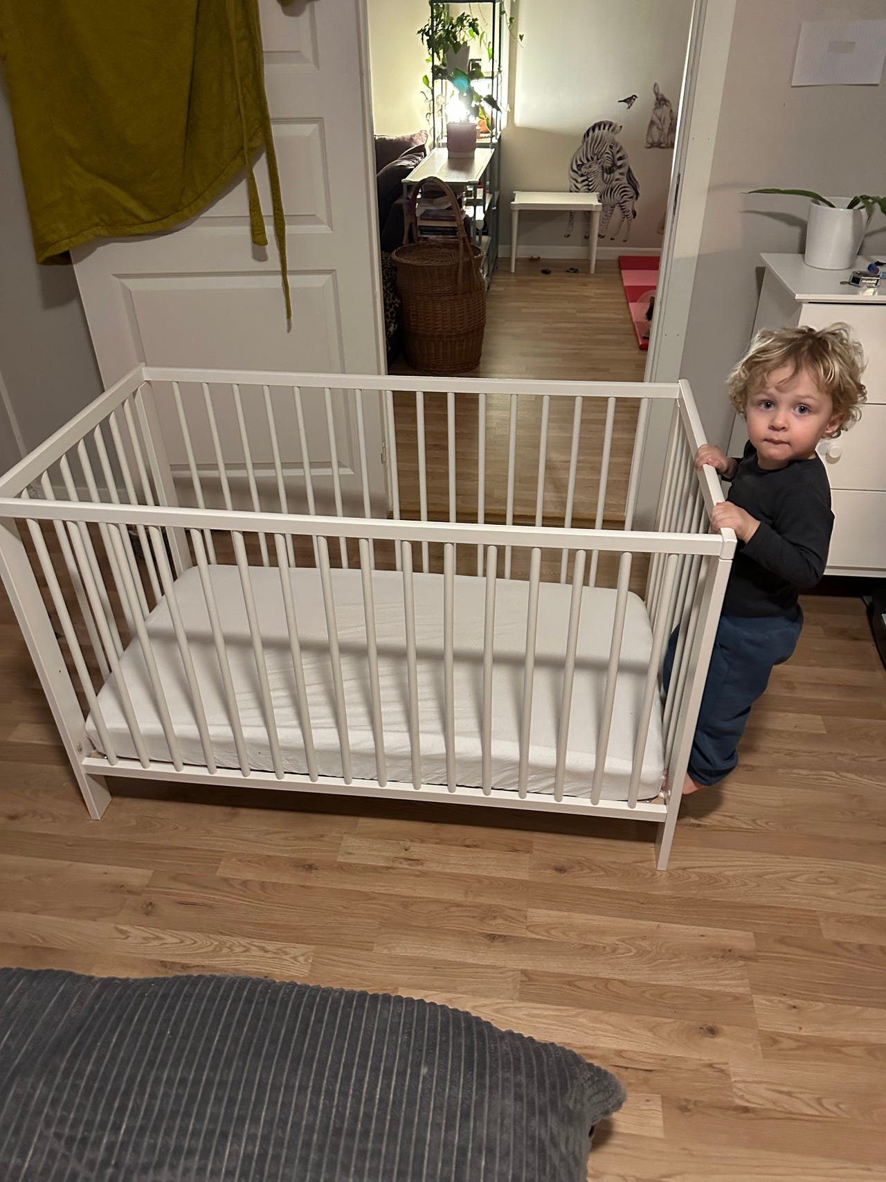 Seng for barn | FINN-torget