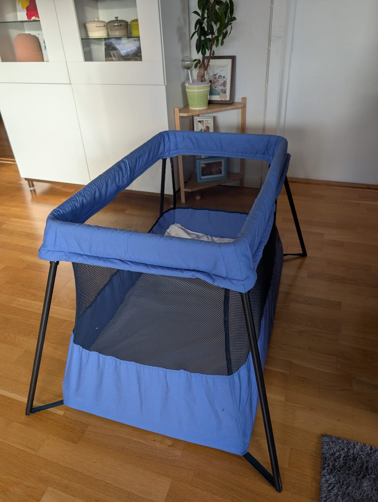 Babybjorn reiseseng blả | FINN-torget