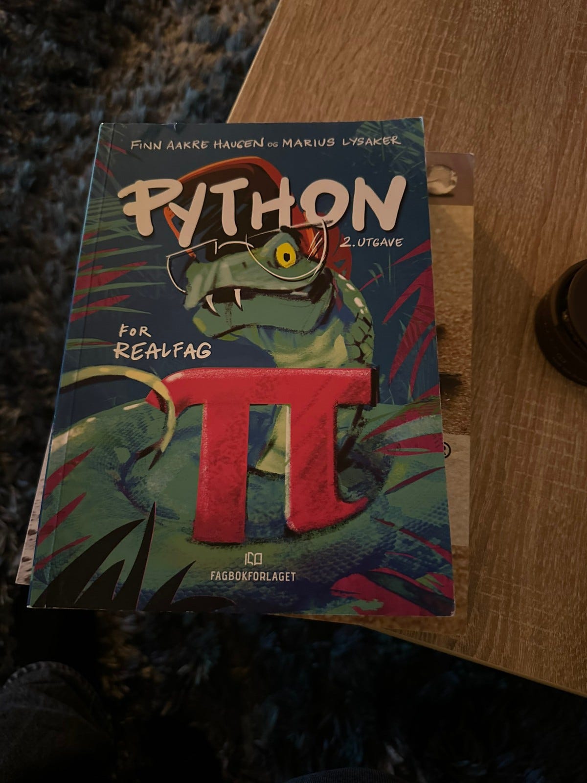 Python for realfag 2.utgave | FINN-torget