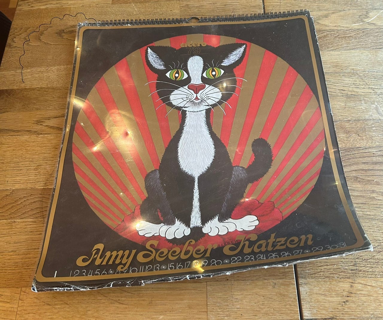 Amy Seeber Katzen bilder. | FINN-torget