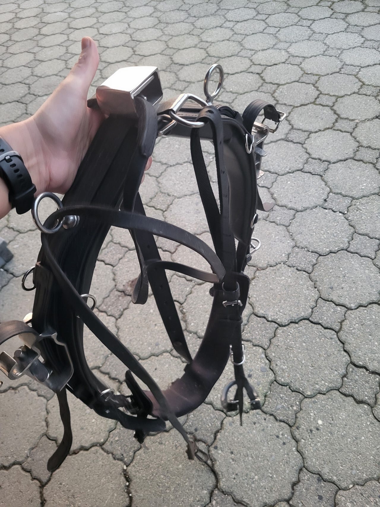 Finn tack løps sele | FINN-torget