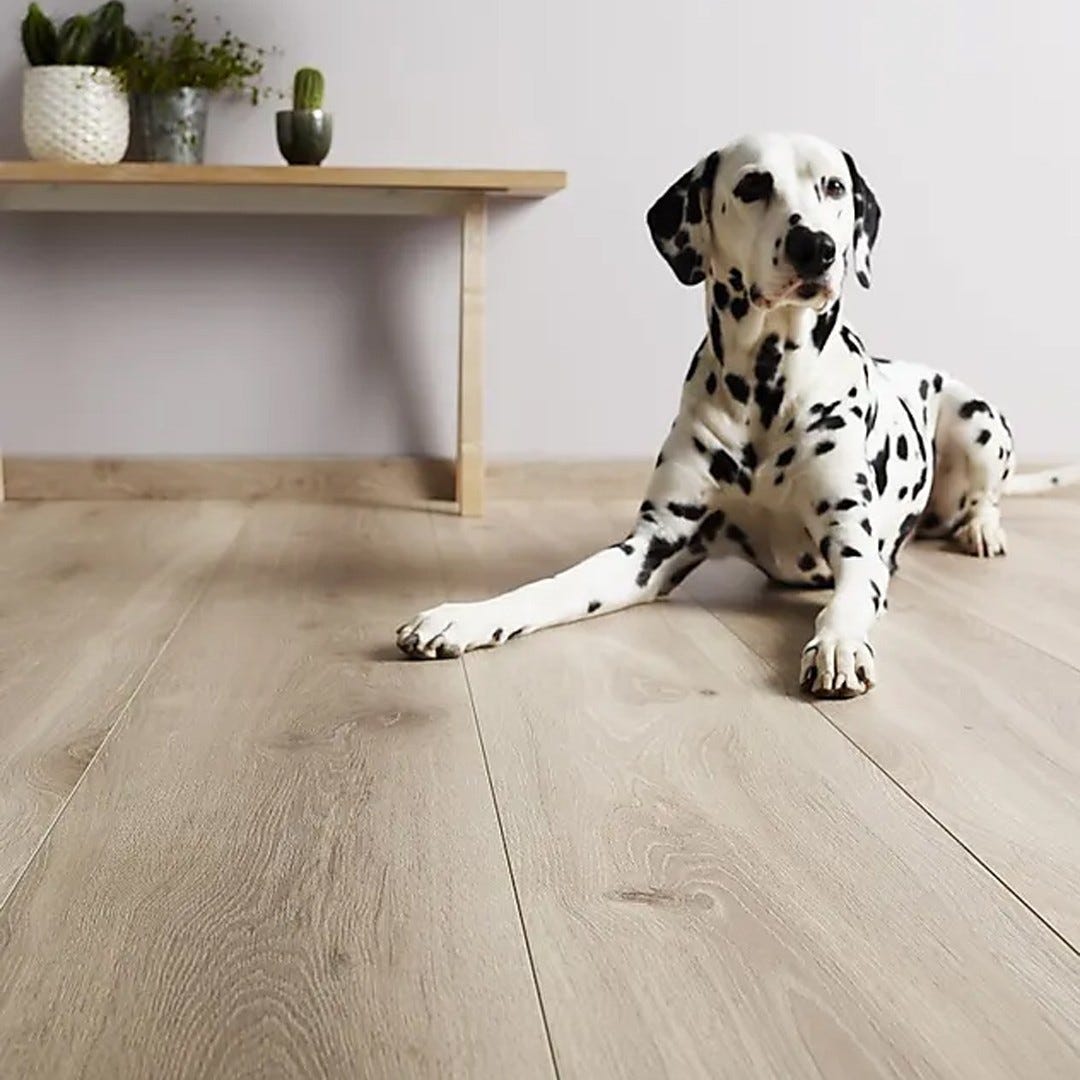 Uåpnet gulv 90m2 selges - Laminatgulv XL 1-stav hvit med brede og lange ...