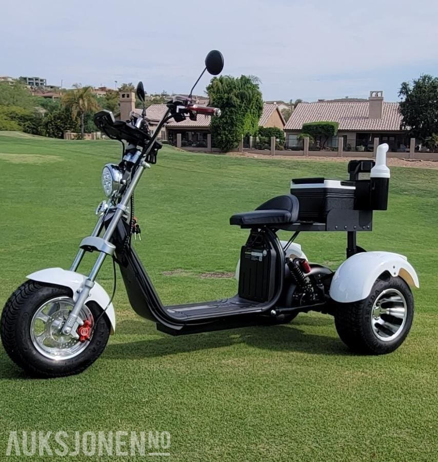 2025 Golfscooter 3-hjuls Fat tire | FINN-torget