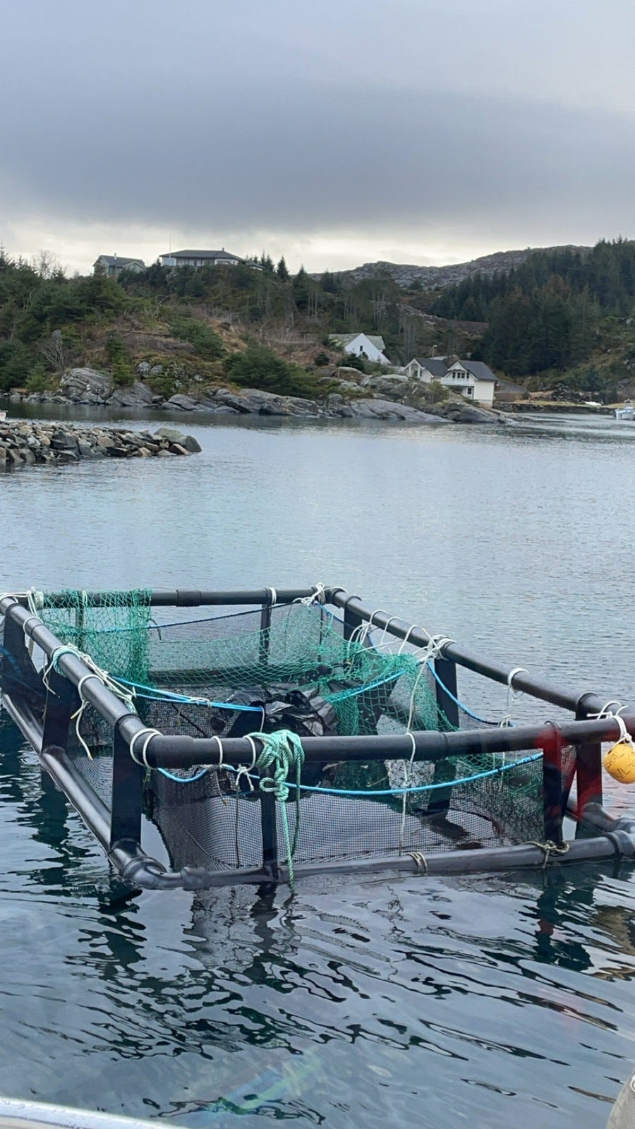 Leppefisk Merd | FINN-torget