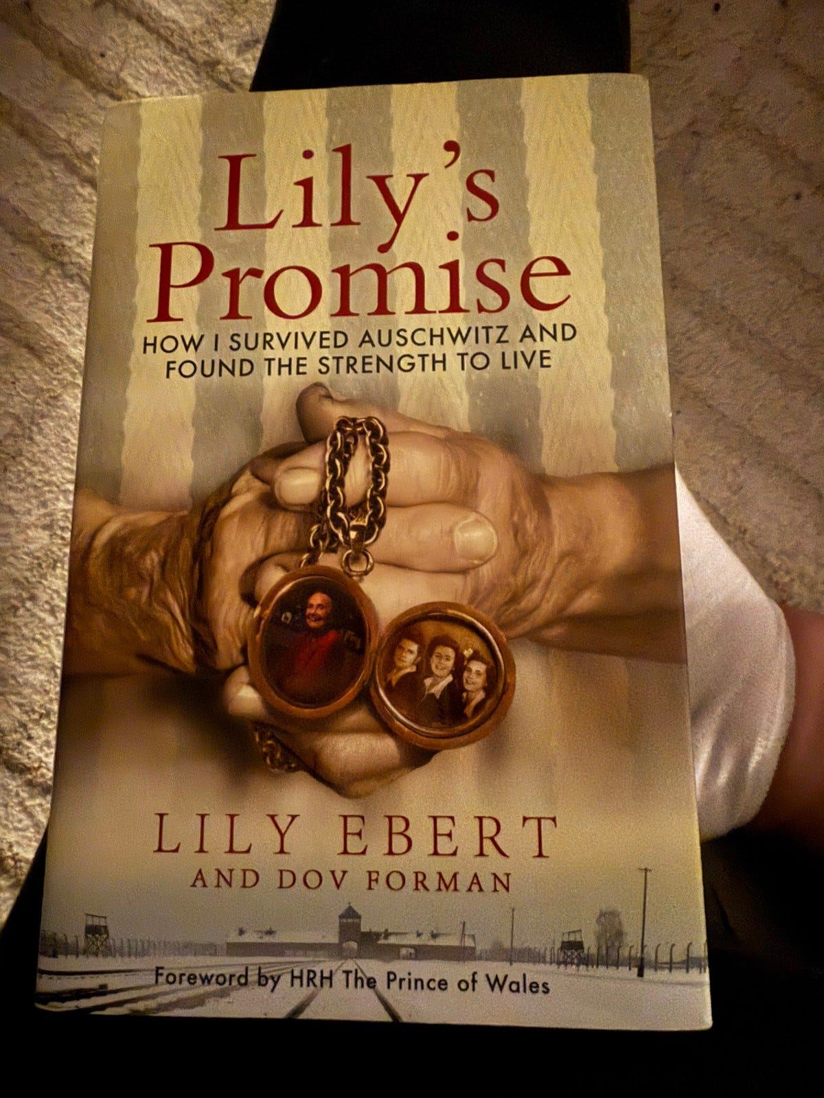 Lily's promise | FINN-torget