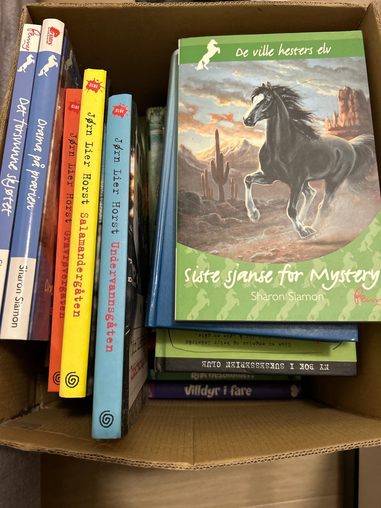 Bokpakke med diverse hestebøker og barne/ungdomsbøker | FINN-torget