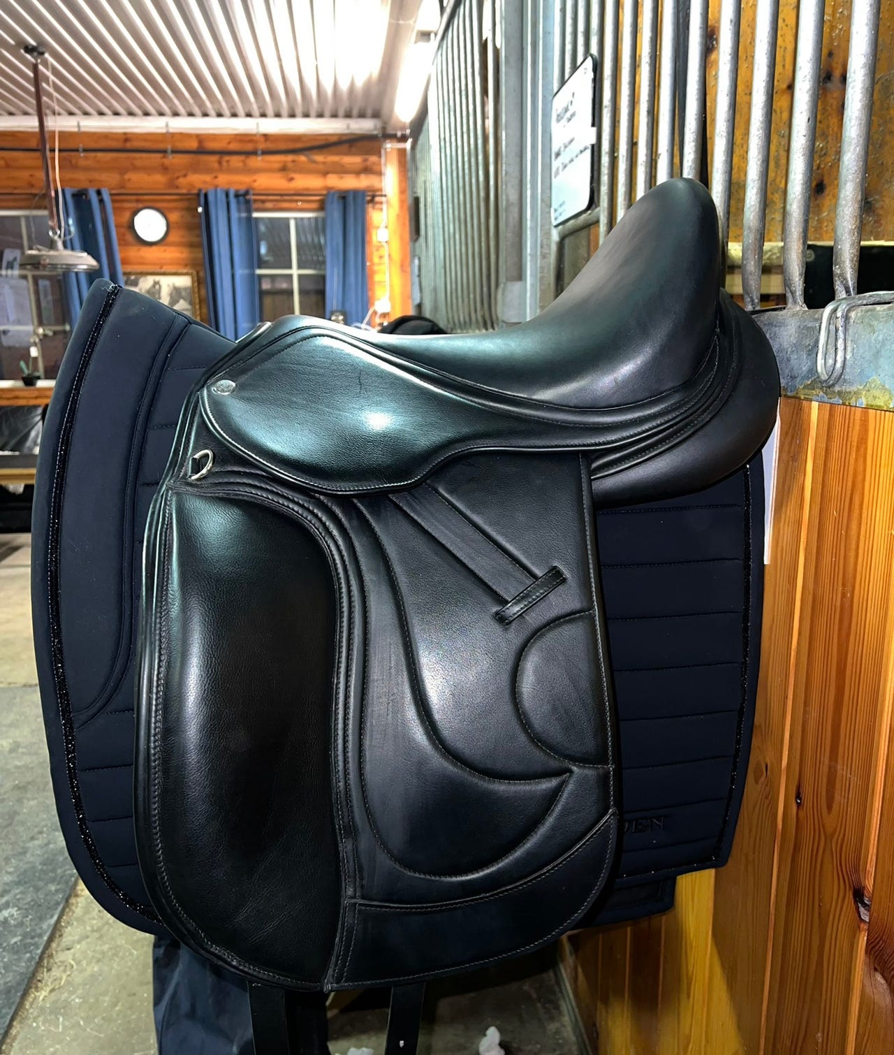Apelles 17“ dressursal | FINN-torget