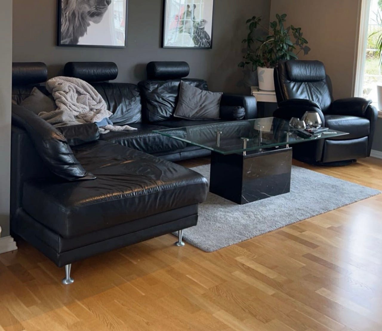 Skinnsofa | FINN-torget