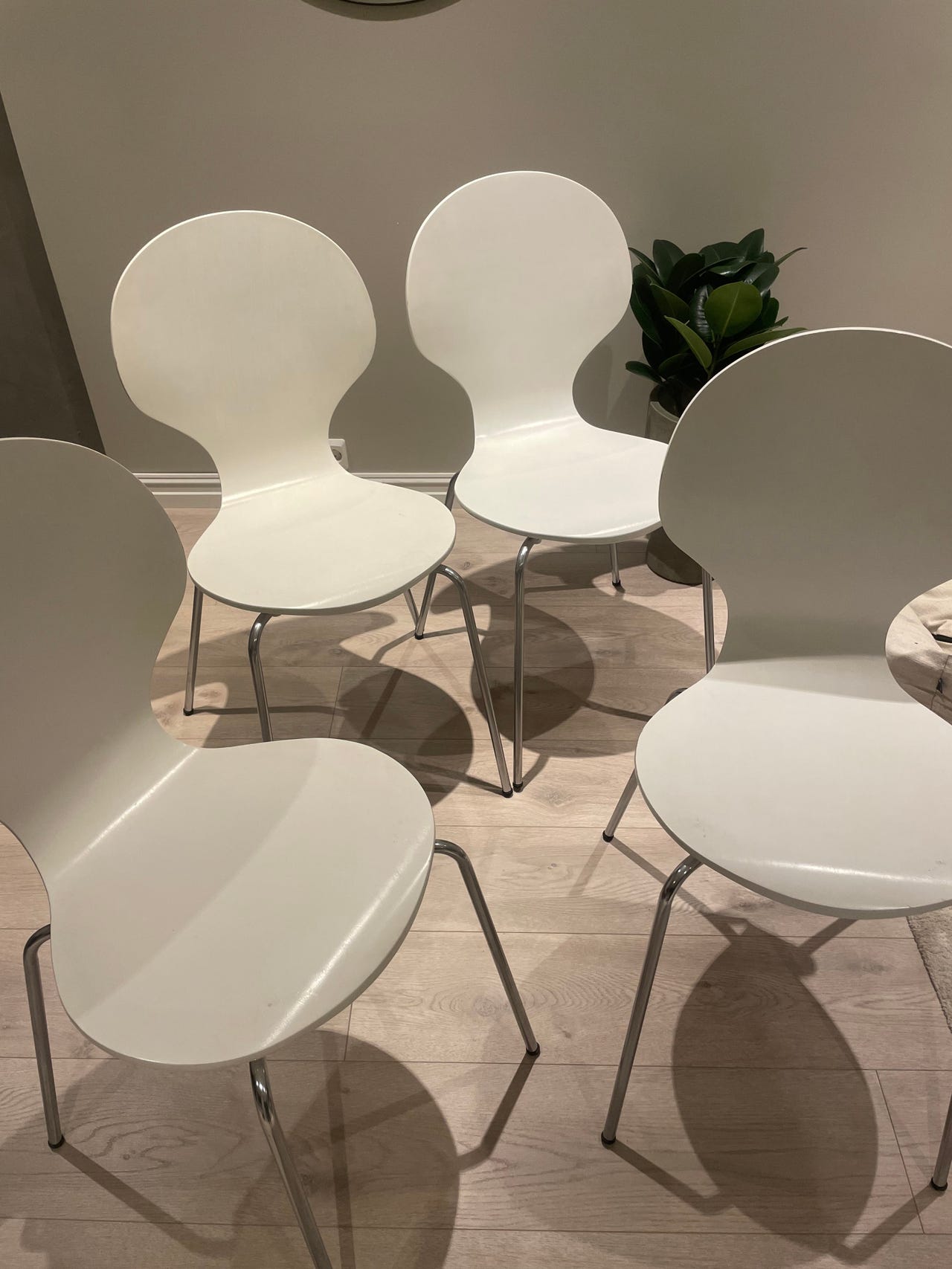 4 hvite stoler selges samlet | FINN-torget