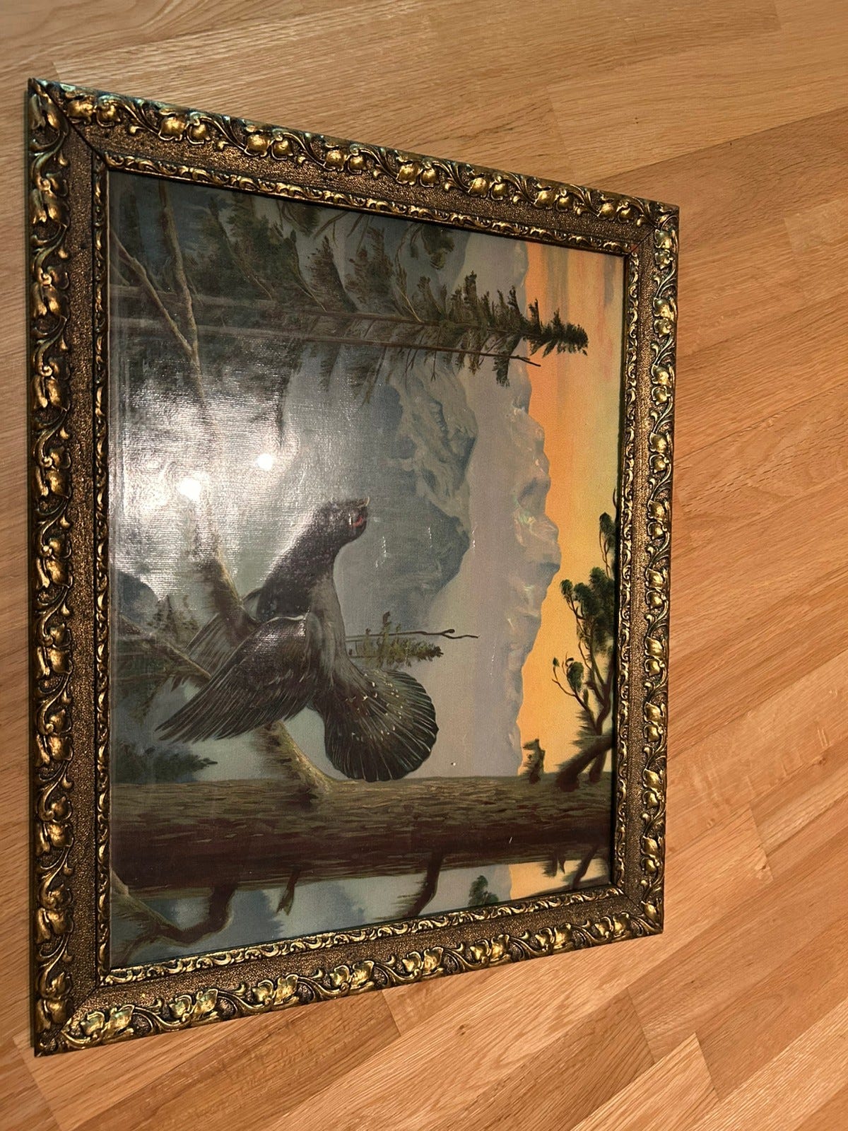 Retro trykk- Tiur i tre | FINN-torget