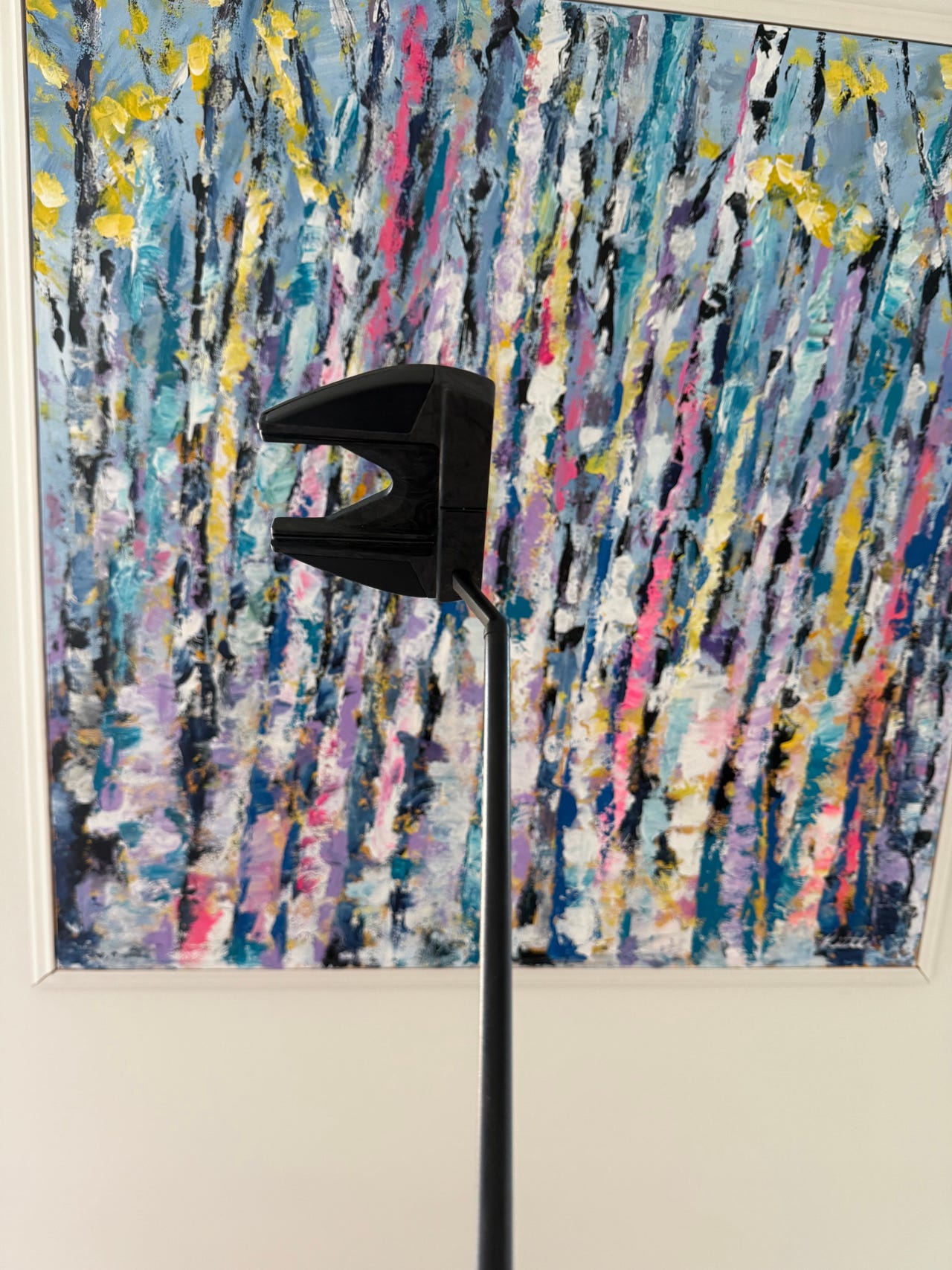 LA Golf Malibu X Mallet putter Links | FINN-torget