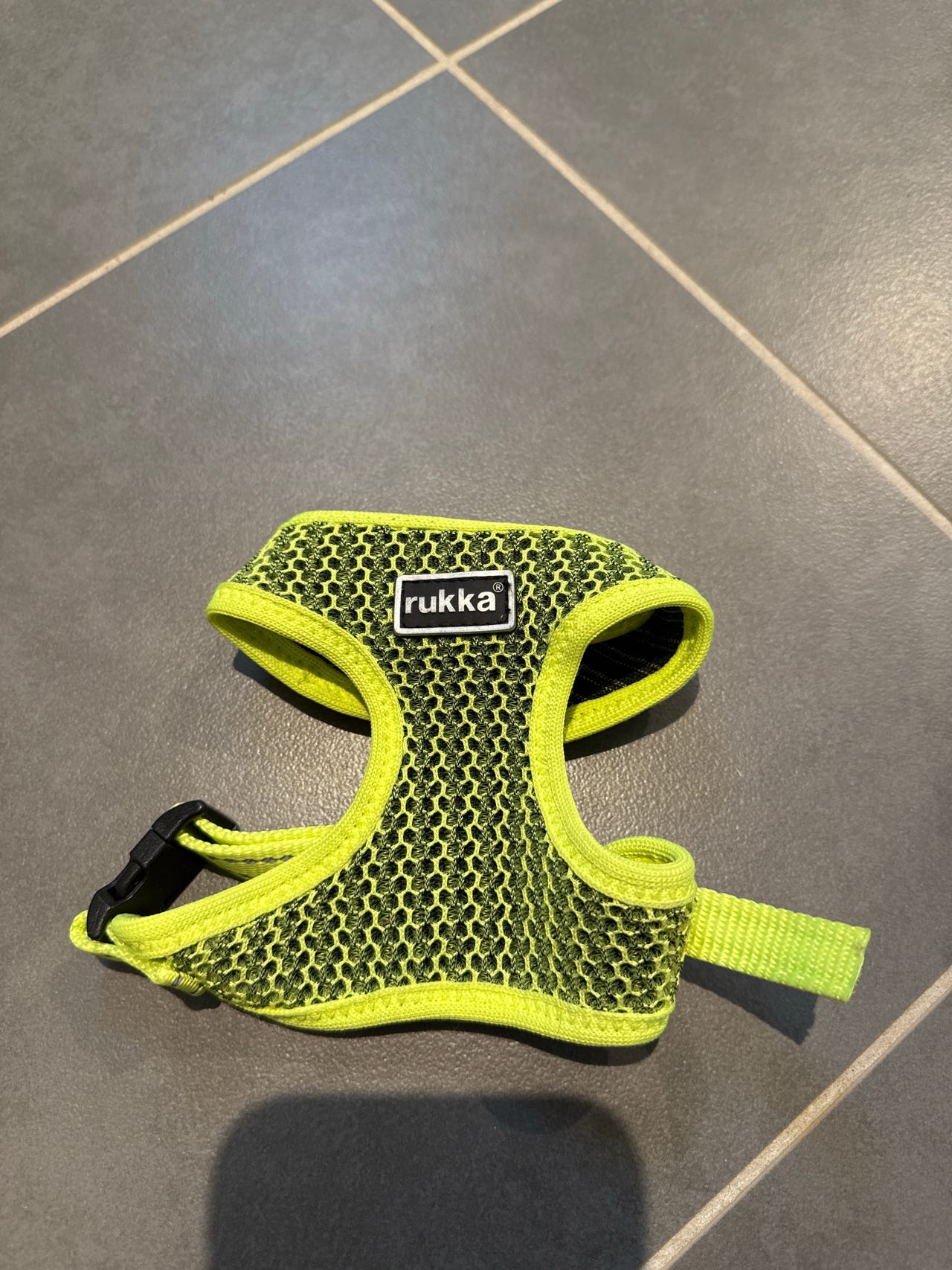 Hundeutstyr til små hunder | FINN-torget