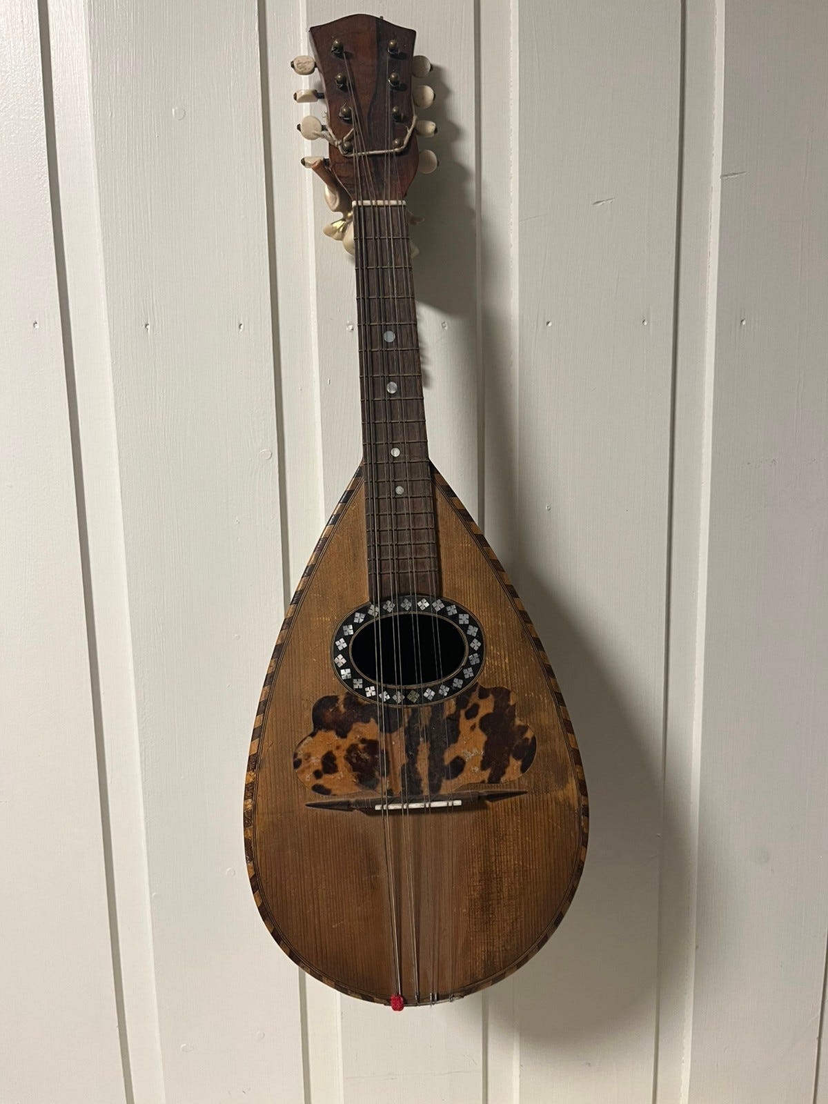 Mandolin, restaurert | FINN-torget
