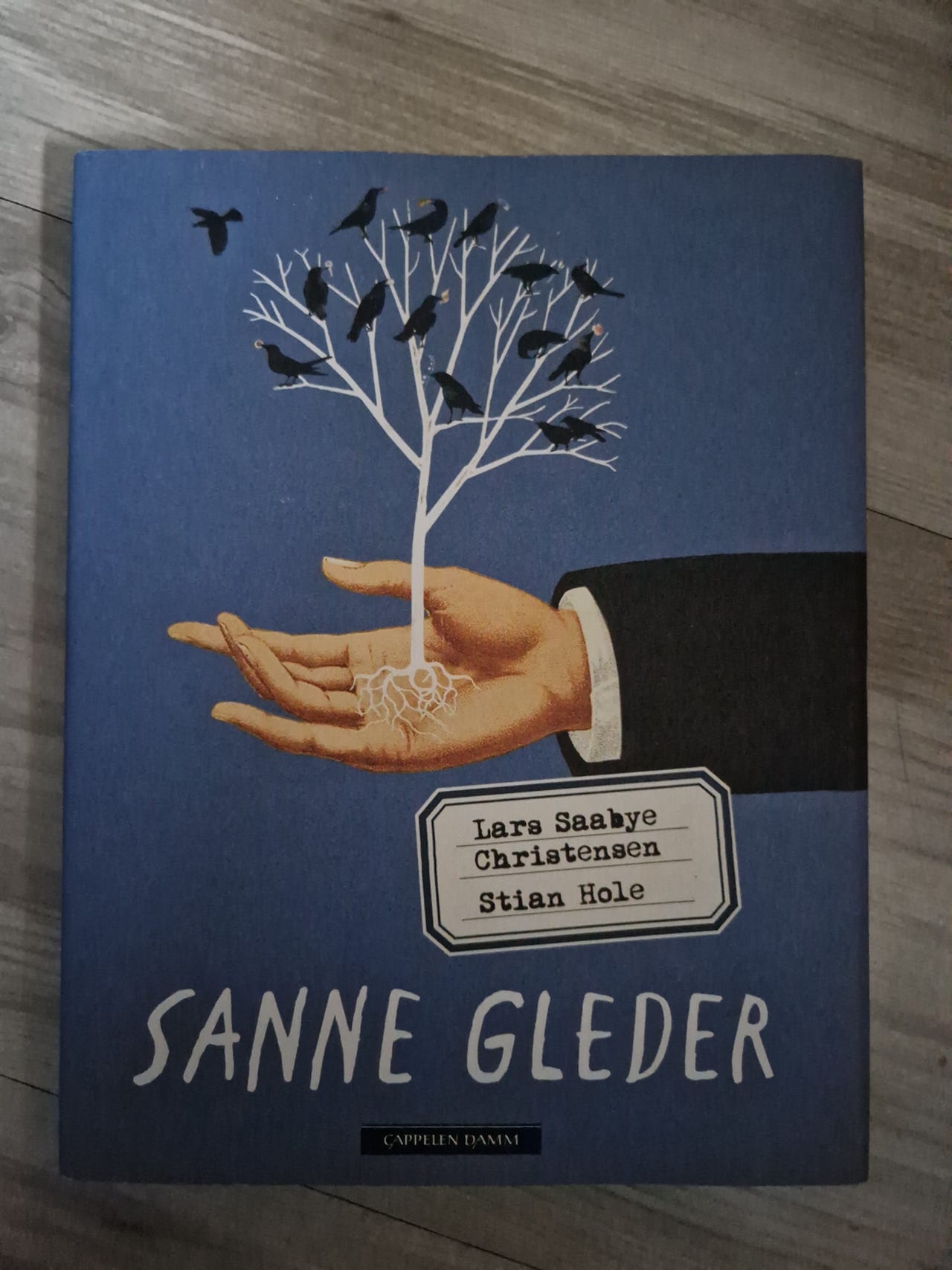 Lars Saabye Christensen, Stian Hole; Sanne gleder, dikt | FINN-torget
