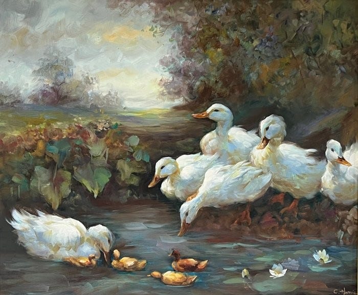 C Harris (XX) - Ducks and ducklings | FINN-torget