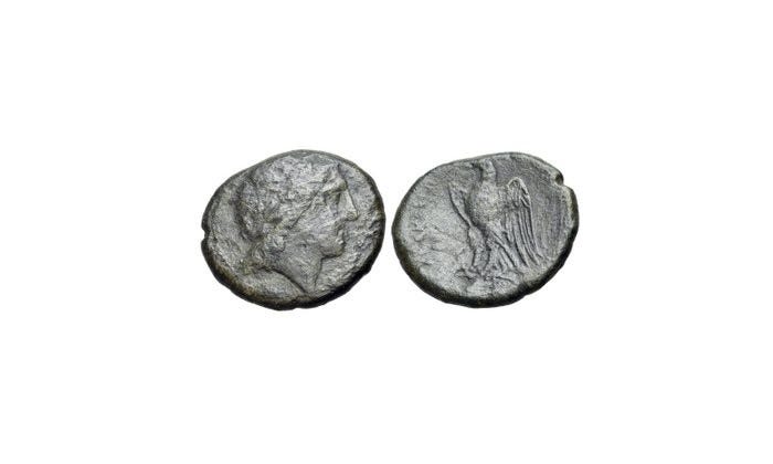 Sicily, Syracuse. Hiketas II (287-278 BC). Æ (Ingen reservasjonspris ...