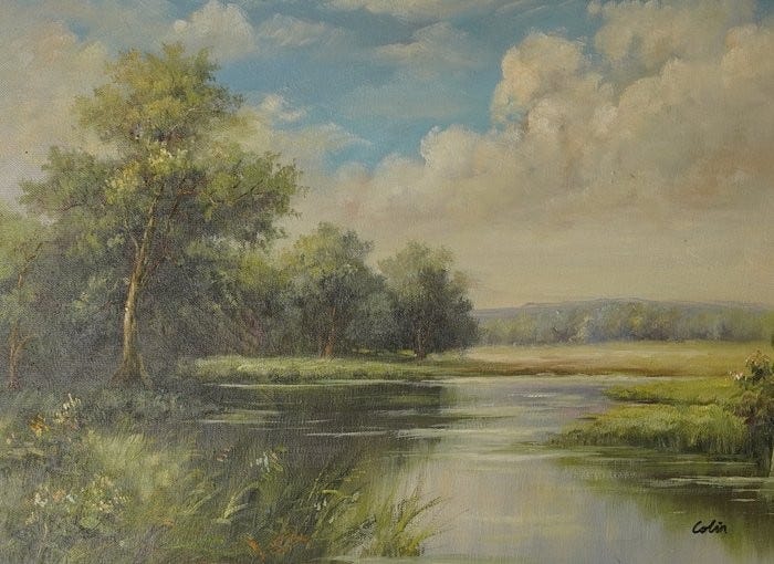 Colin (XX) - Serene Riverside Landscape | FINN-torget