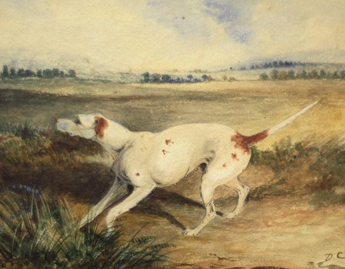 Scuola francese (XIX), Monogrammista DC - Cane da ferma | FINN-torget
