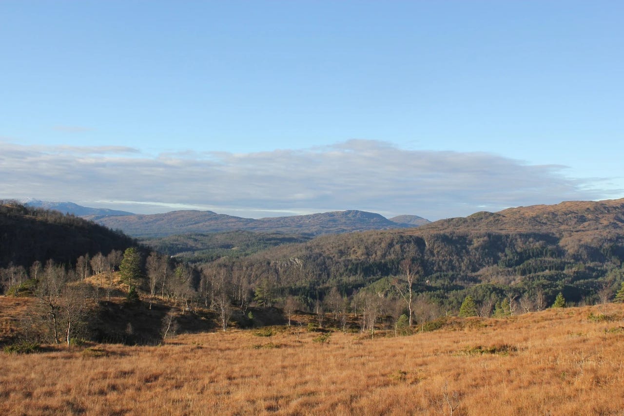 Stor tomt på 16 dekar for den ambisiøse utbygger | Bygg hytter i ...
