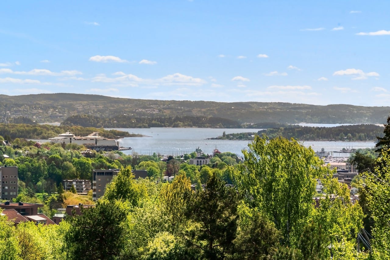 Enebolig på 747 m² | Tomt 1 384 m² | Oppussingsobjekt med stort ...