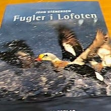 John Stenersen Tringa forlag. Fugler i Lofoten. 1998. 162 s. 1. utg ...