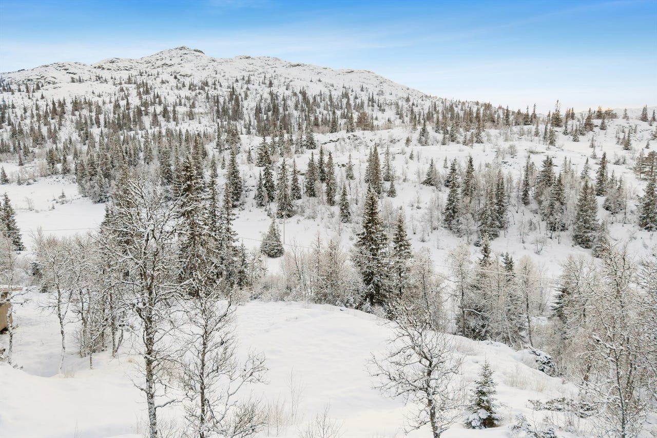 Drømmetomt i stille område |Eiet, solrik tomt på 825,60 m²| |Rett ved ...