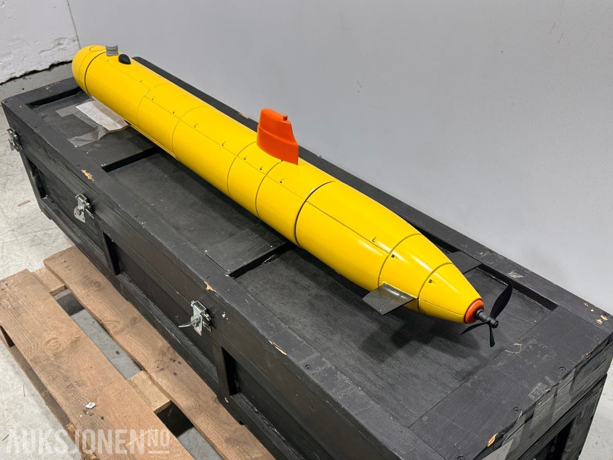 Sea Raptor Modell 1/5 Skala Ubemannet Ubåt | FINN-torget