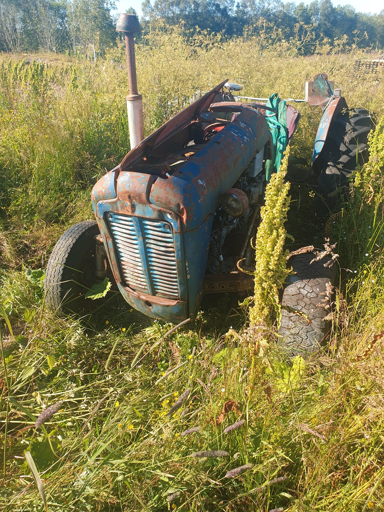 MF 35 - 1975 modell | FINN-torget