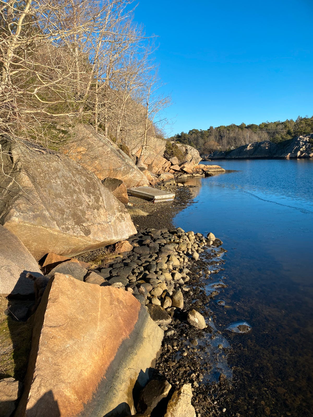 Flåte | FINN-torget