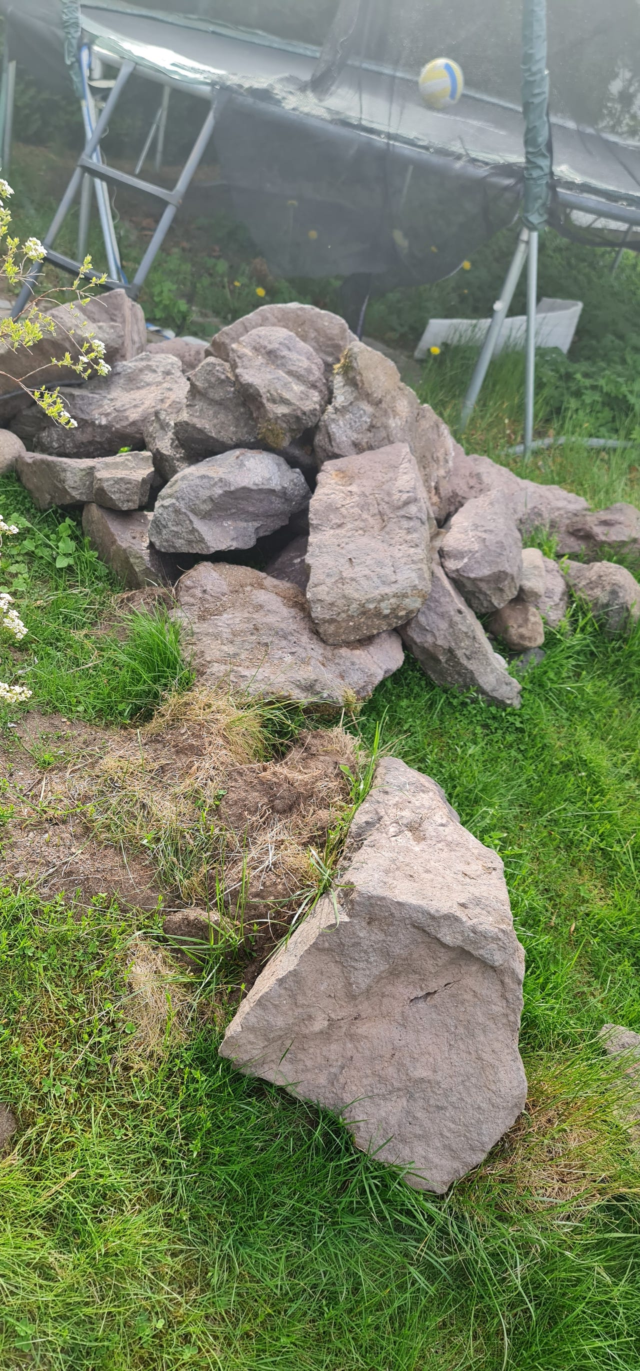 Steiner | FINN-torget