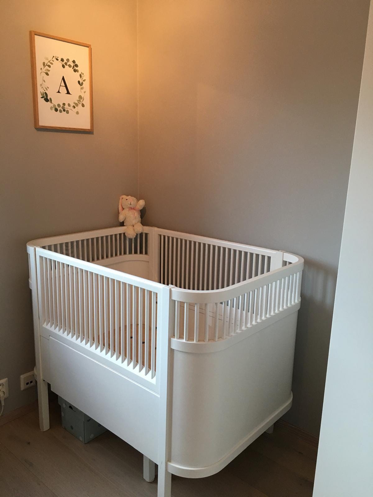 Sebra Kili-seng | FINN-torget