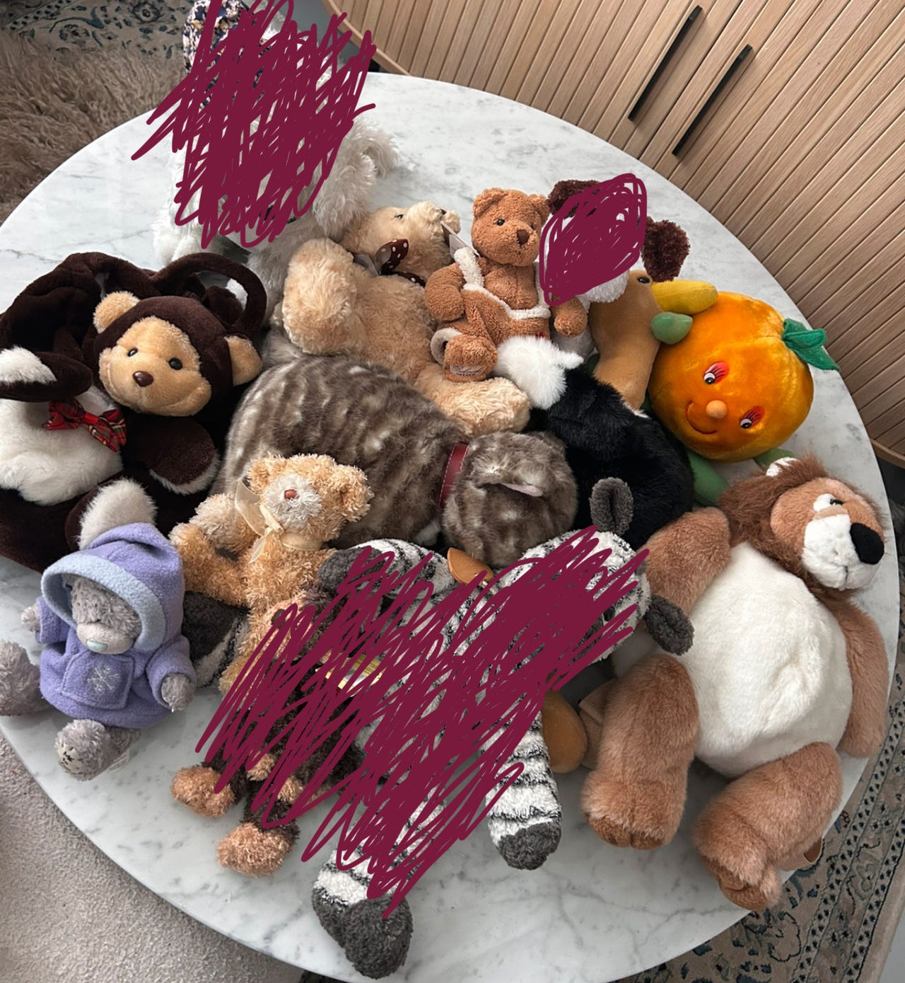 7 bamser og 2 bamsreryggsekker | FINN-torget