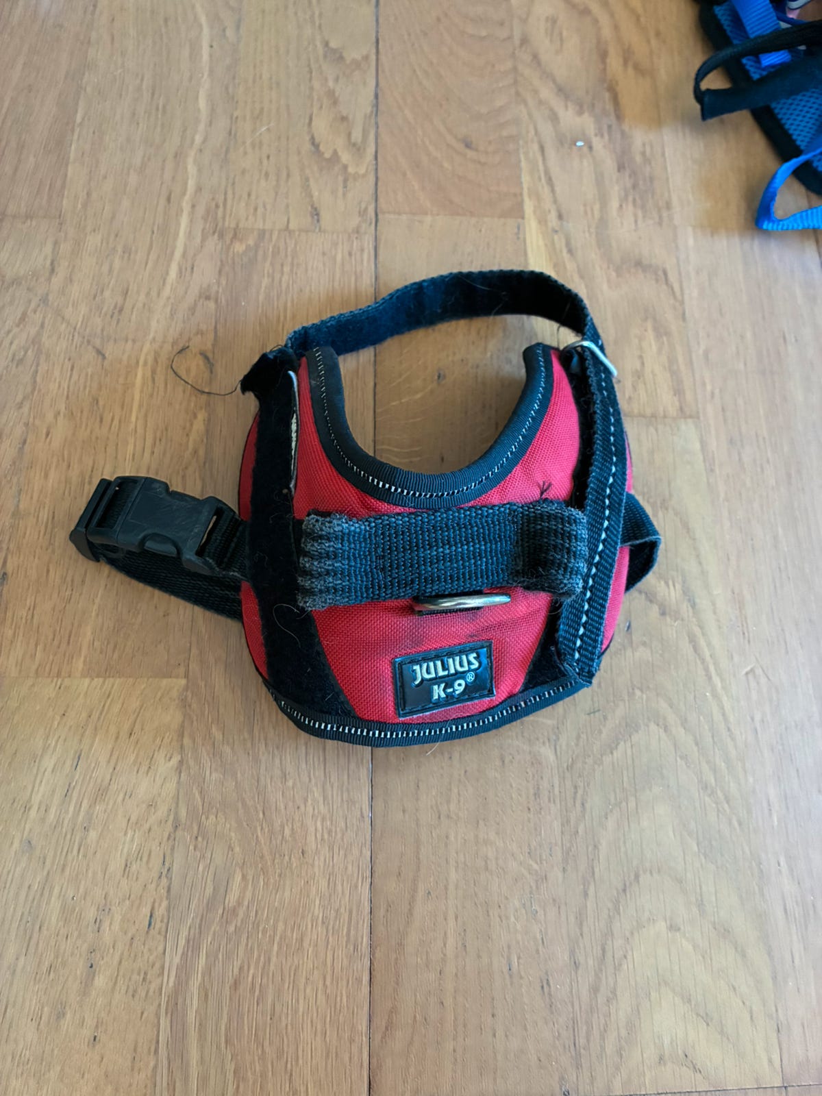 JULIUS-K9 hundesele mini mini | FINN-torget