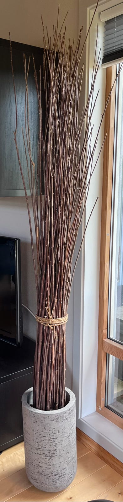 Krukke med kvist | FINN-torget