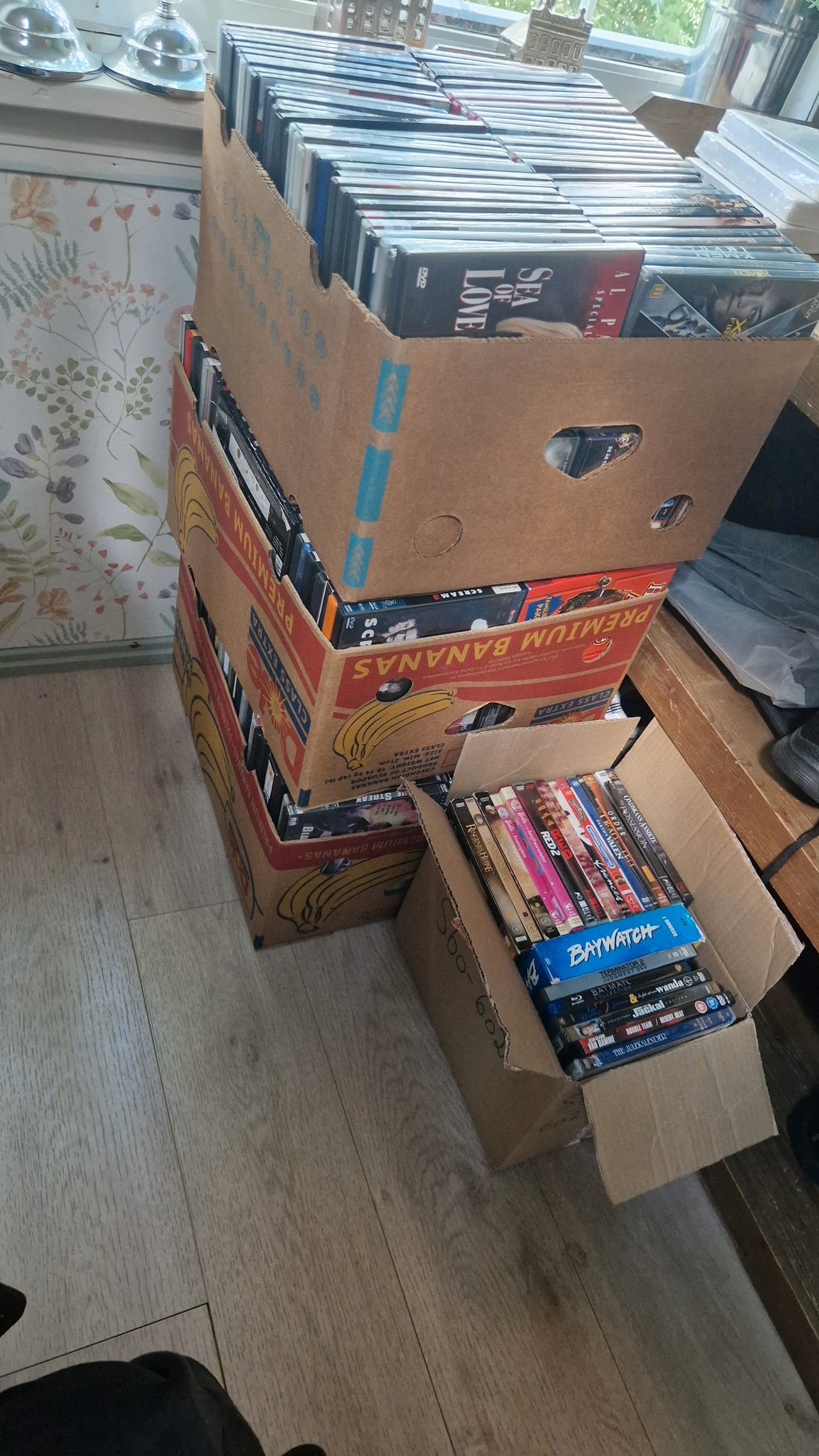 Giga stor DVD samling og noe musikk. Nesten 1000 filmer. | FINN-torget