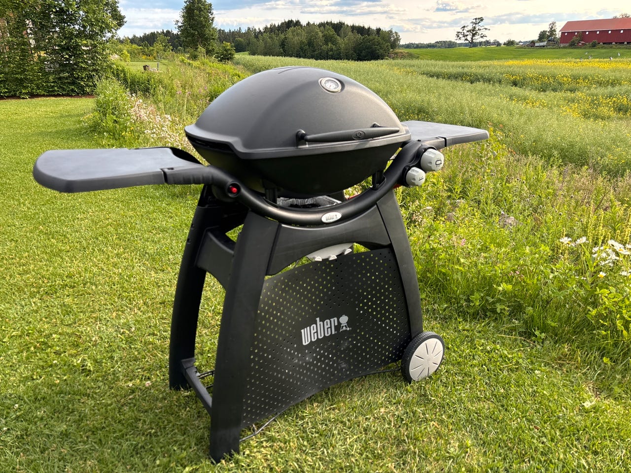 Weber Q3000 | FINN-torget