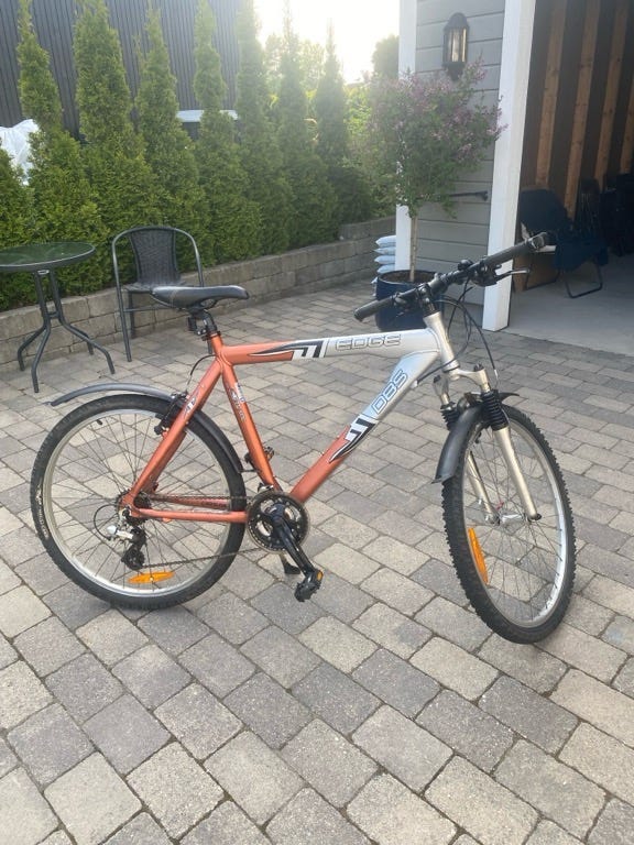 DBS sykkel , alt funker fint. | FINN-torget