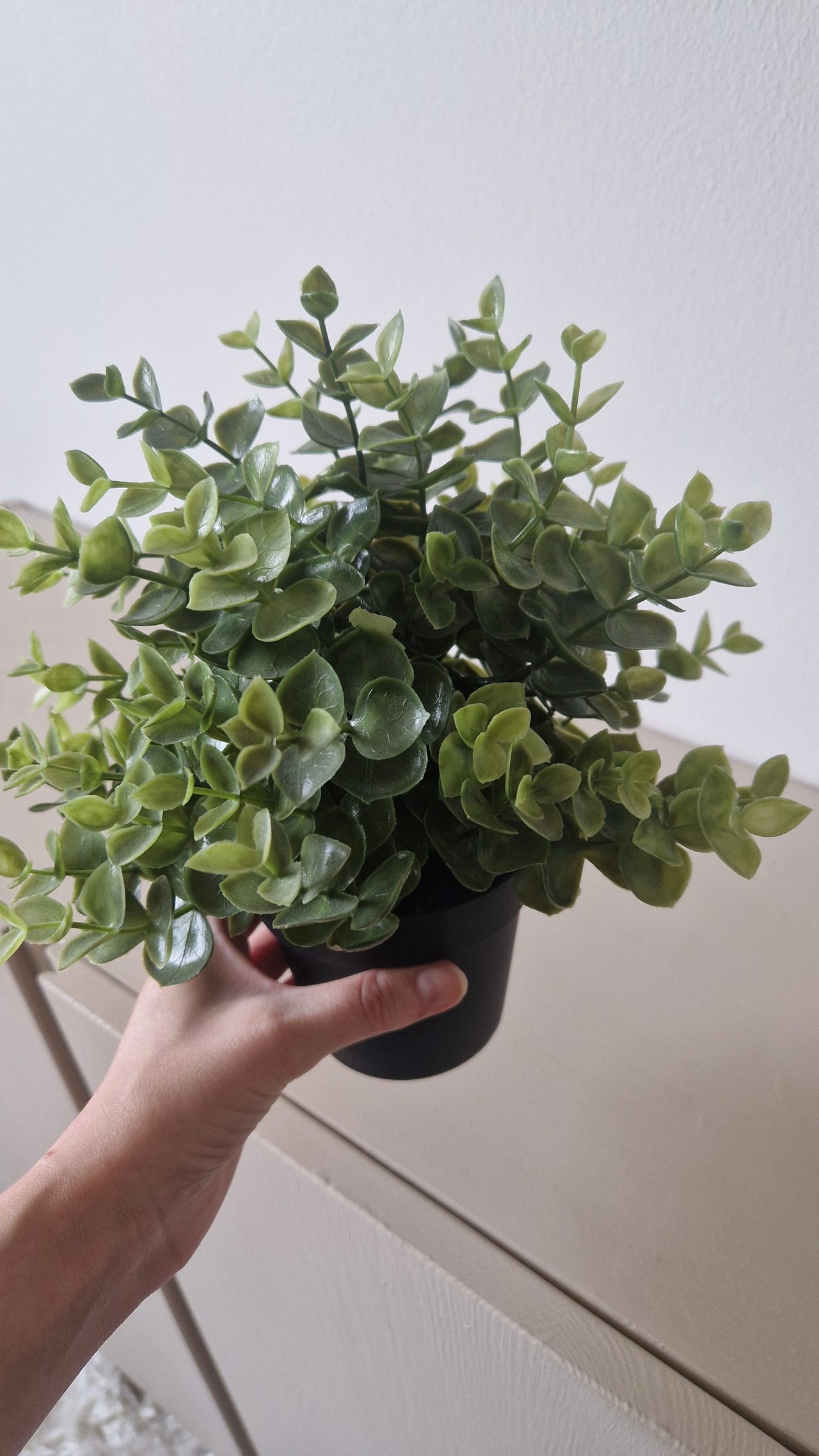 Falsk plante | FINN-torget