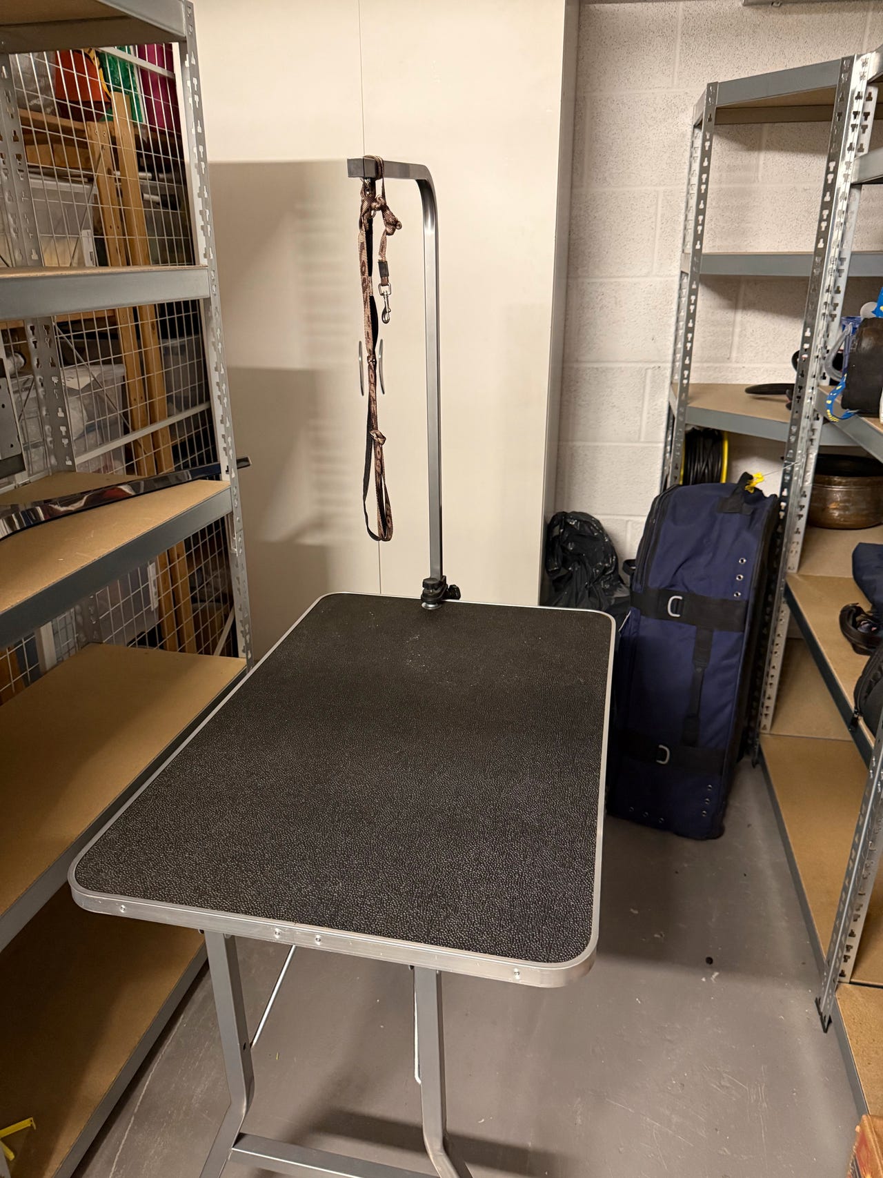 Lite brukt hunde klippebord | FINN-torget