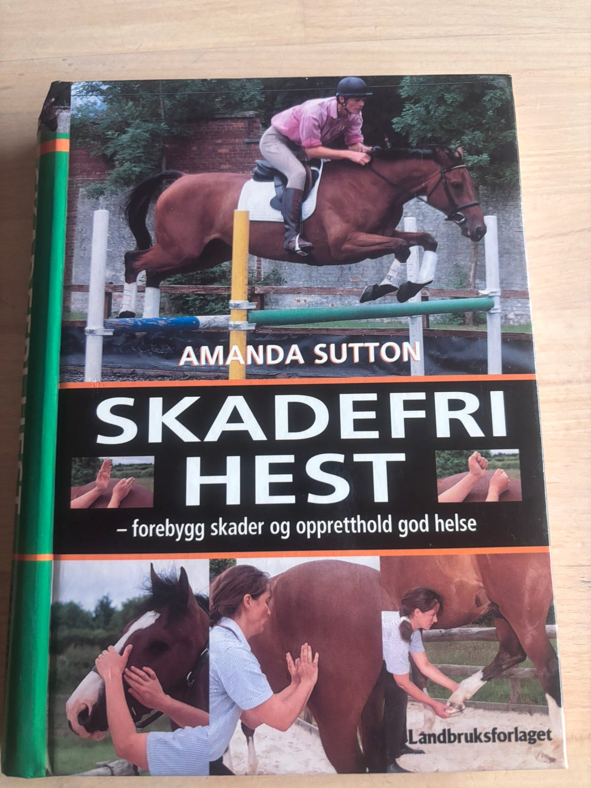 Skadefri hest av Amanda Sutton | FINN-torget