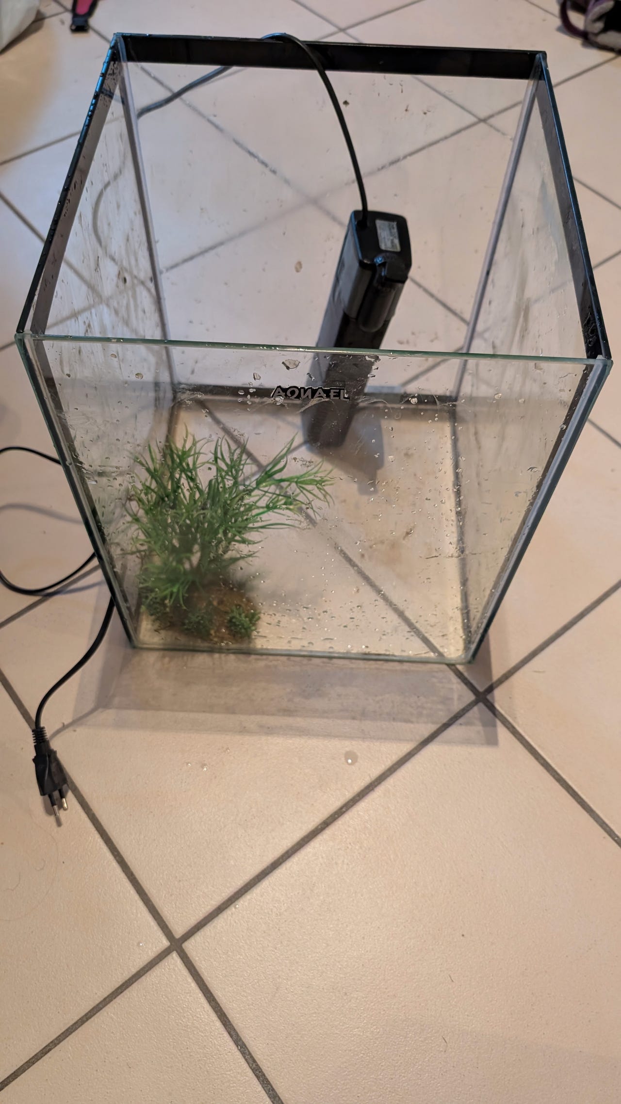 Akvarium 30 liter | FINN-torget