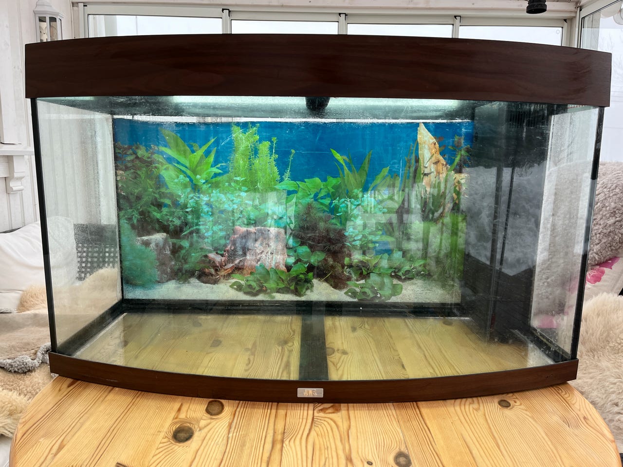 Jewel 180 l akvarium | FINN-torget