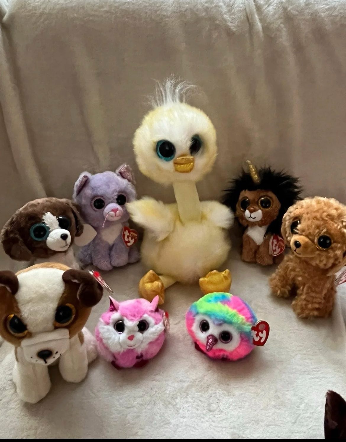 TY bamser The Beanie Boo’s Collection og The Ty Puffies collection ...
