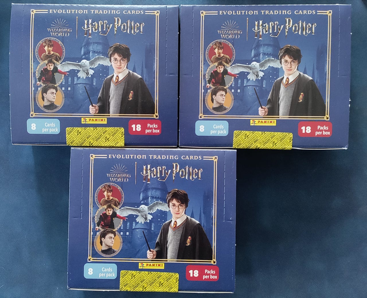Harry Potter Evolution Booster boks Panini | FINN-torget