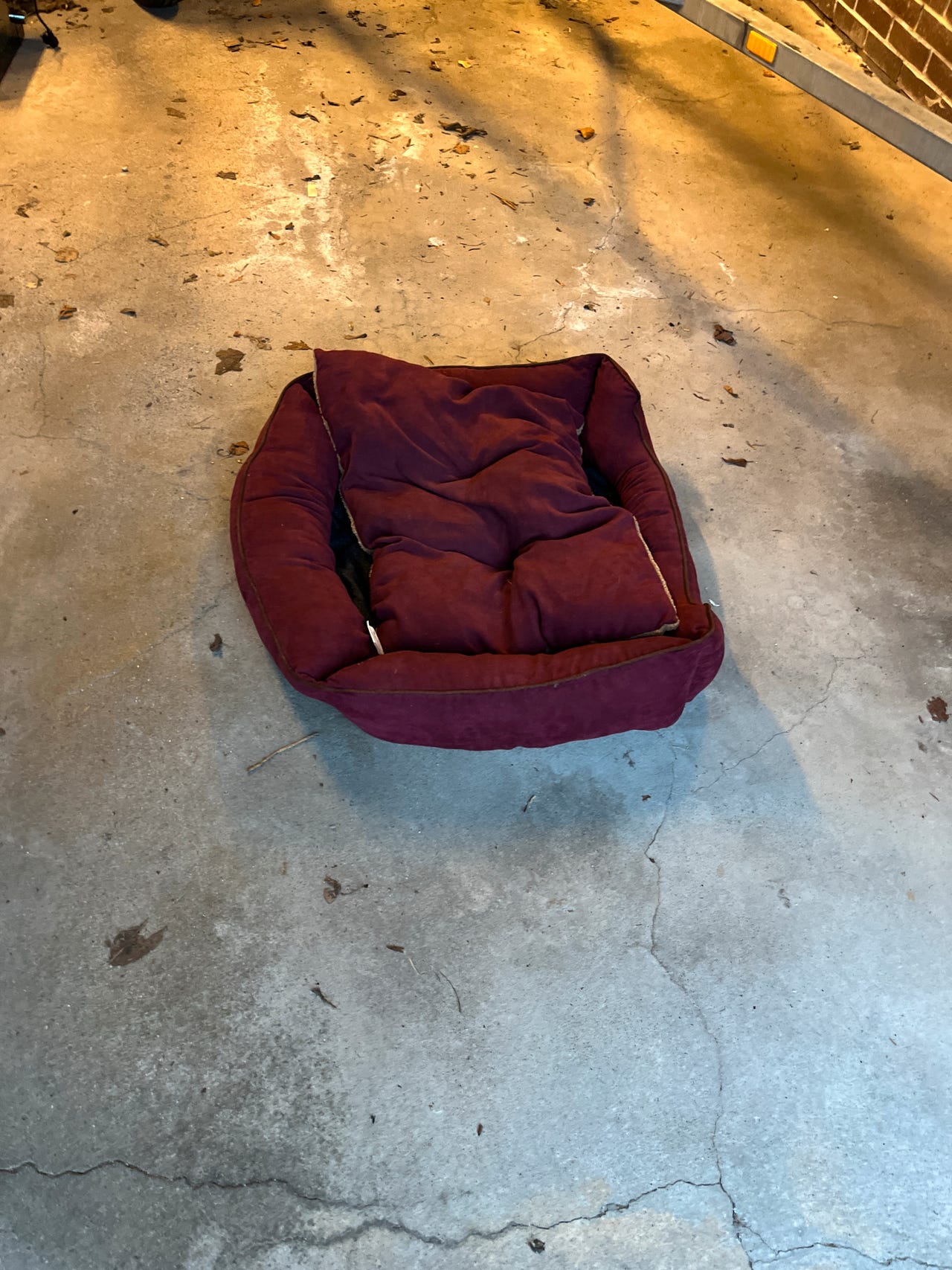 Hundeseng Hunter | FINN-torget